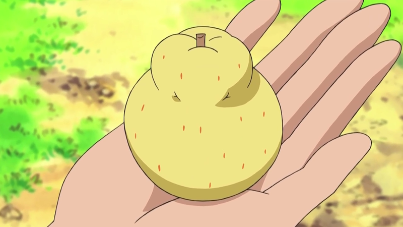 Sitrus Berry International Pokédex Wiki Fandom