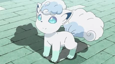 Snowy | International Pokédex Wiki | Fandom