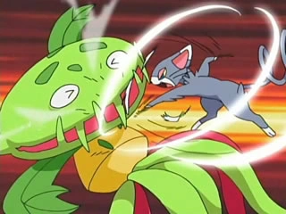 Fury Swipes | International Pokédex Wiki | Fandom
