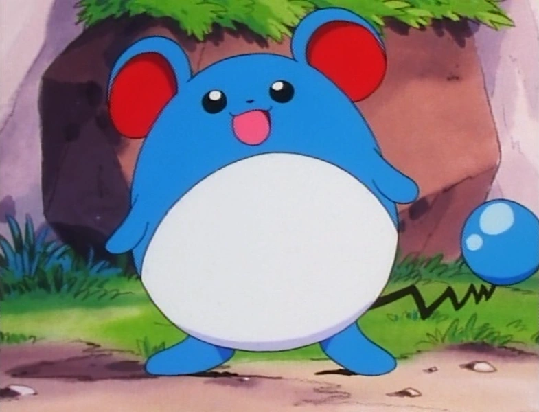 Tracey's Marill | International Pokédex Wiki | Fandom