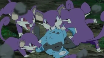 Rattata | International Pokédex Wiki | Fandom
