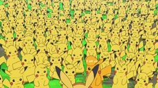 Pikala's Pikachu | International Pokédex Wiki | Fandom