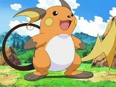 Sho's Raichu | International Pokédex Wiki | Fandom