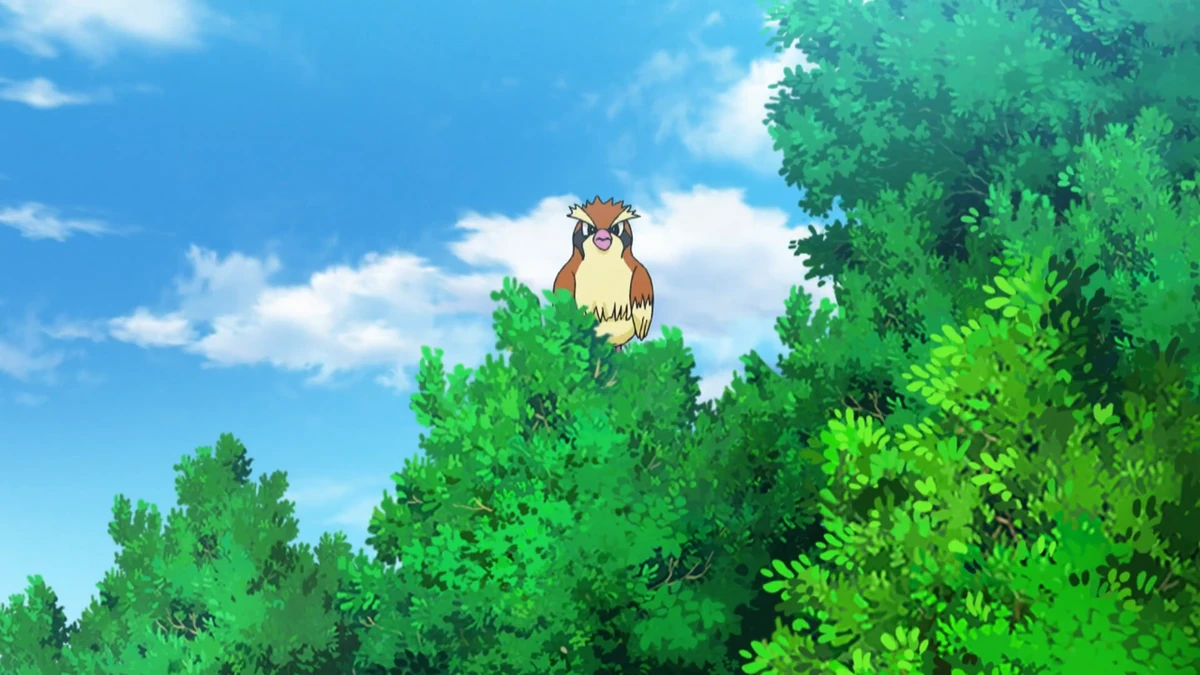 Goh's Pidgey | International Pokédex Wiki | Fandom