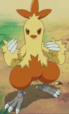 Nurse Joy's Combusken | International Pokédex Wiki | Fandom