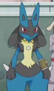 Gurkinn's Lucario | International Pokédex Wiki | Fandom