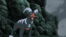 Ninja Army's Houndoom | International Pokédex Wiki | Fandom