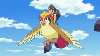 Pidgeot | International Pokédex Wiki | Fandom