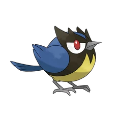 Rookidee | International Pokédex Wiki | Fandom