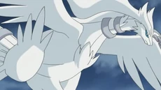 Reshiram | International Pokédex Wiki | Fandom