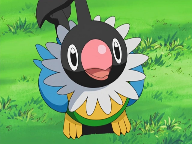 Ada's Chatot | International Pokédex Wiki | Fandom