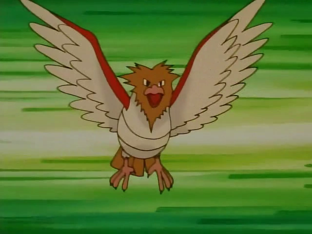 Spearow | International Pokédex Wiki | Fandom