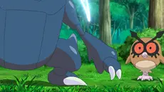Goh's Hoothoot | International Pokédex Wiki | Fandom