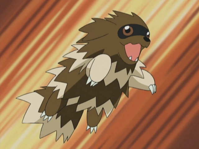 Victor Winstrate's Zigzagoon | International Pokédex Wiki | Fandom