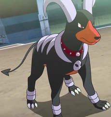 Malva's Houndoom | International Pokédex Wiki | Fandom
