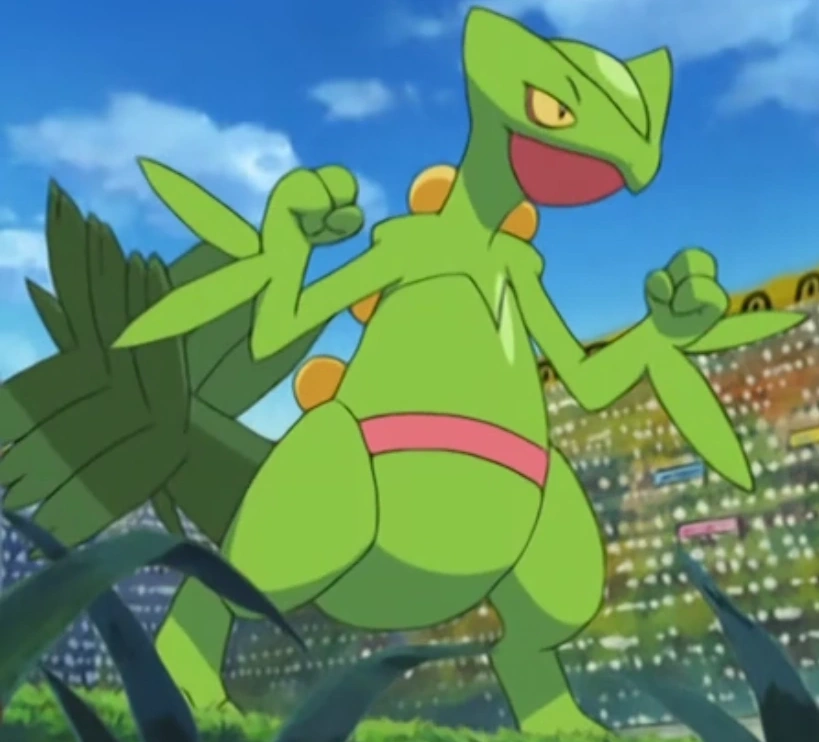 Tyson's Sceptile | International Pokédex Wiki | Fandom