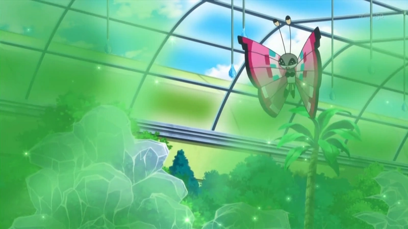 Sleep Powder | International Pokédex Wiki | Fandom