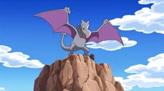 Aerodactyl | International Pokédex Wiki | Fandom