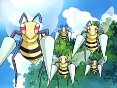 Wild Beedrill in Kanto | International Pokédex Wiki | Fandom