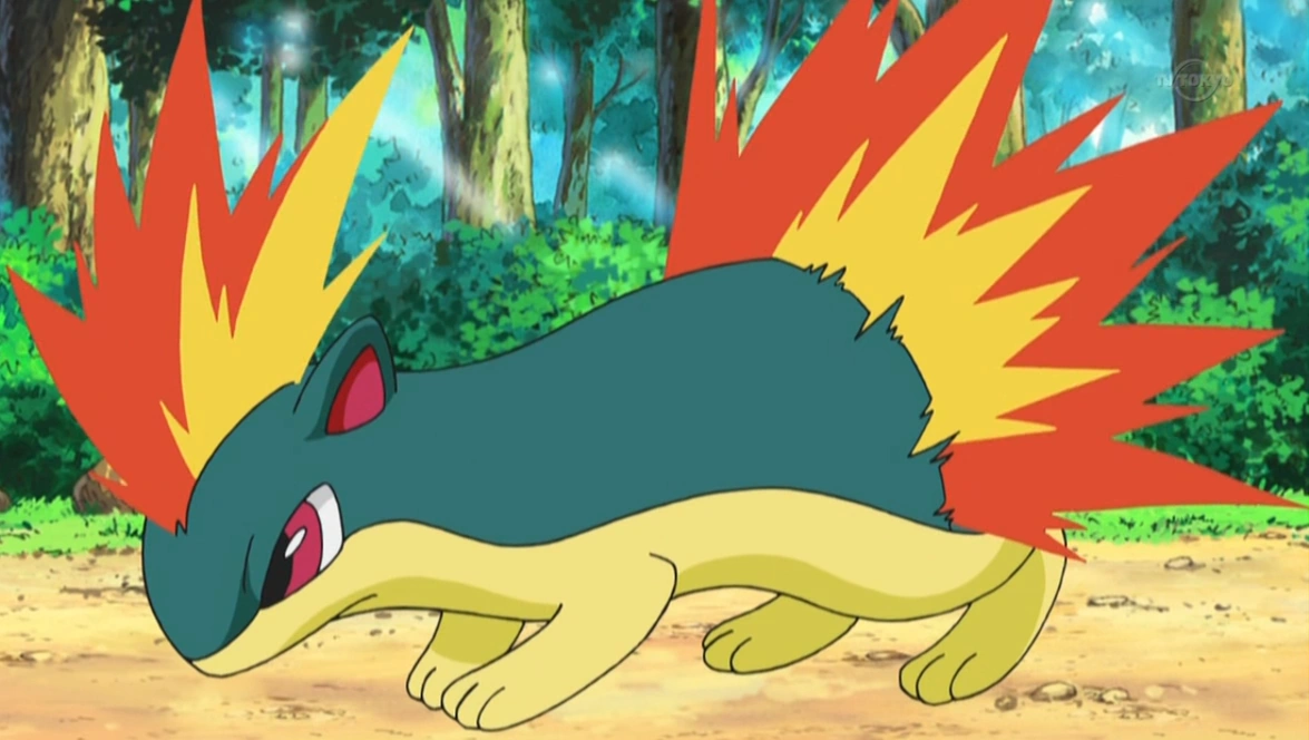 Category:Quilava | International Pokédex Wiki | Fandom