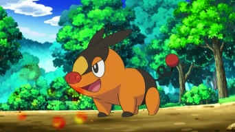 Nanette's Tepig | International Pokédex Wiki | Fandom