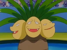 Mandi's Exeggutor | International Pokédex Wiki | Fandom