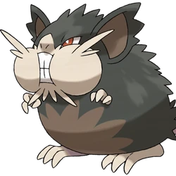 pokemon rattata evolution