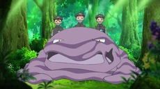Team Plasma's Muk | International Pokédex Wiki | Fandom