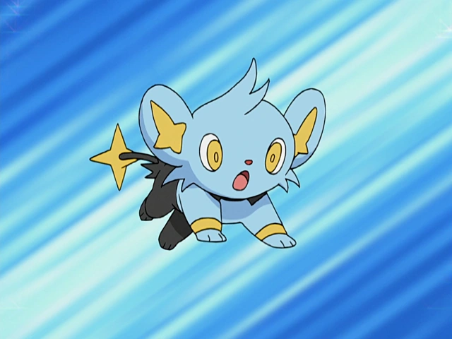 Angie's Shinx | International Pokédex Wiki | Fandom