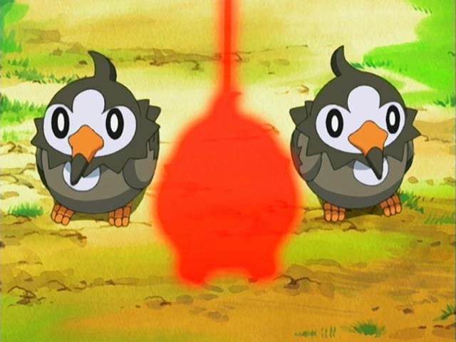 Starly | International Pokédex Wiki | Fandom