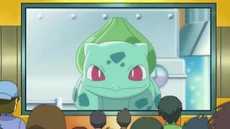 Bulbasaur (Professor Oak) | International Pokédex Wiki | Fandom