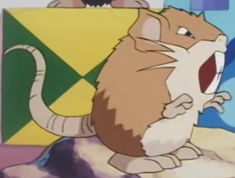 Temacu's father's Raticate | International Pokédex Wiki | Fandom