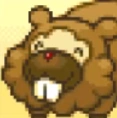 Bidoof | International Pokédex Wiki | Fandom