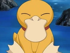 Emily's Psyduck | International Pokédex Wiki | Fandom