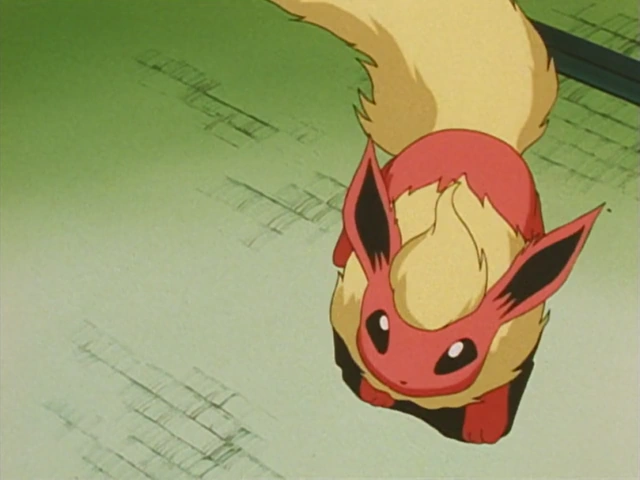 Koume's Flareon | International Pokédex Wiki | Fandom