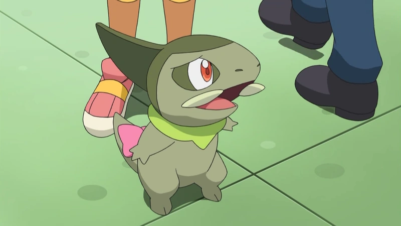 Erina's Axew | International Pokédex Wiki | Fandom