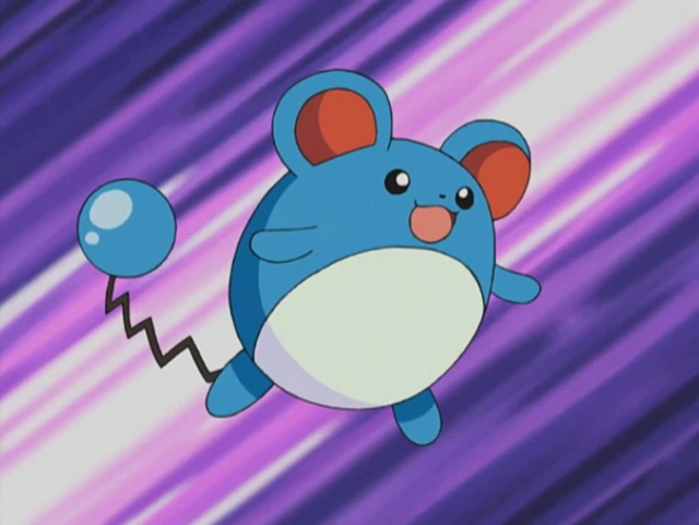 Vivi Winstrate's Marill | International Pokédex Wiki | Fandom