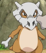 Cubone | International Pokédex Wiki | Fandom