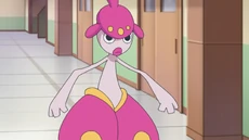 Chalce's Medicham | International Pokédex Wiki | Fandom