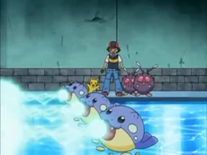 Spheal | International Pokédex Wiki | Fandom