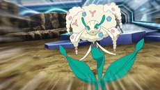 Trevor's Florges | International Pokédex Wiki | Fandom