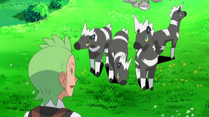 Blitzle | International Pokédex Wiki | Fandom