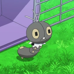 scatterbug evolution