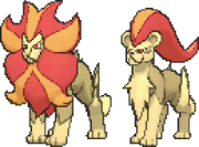 Pyroar | International Pokédex Wiki | Fandom
