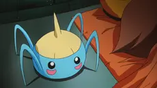 Kathryn's Surskit | International Pokédex Wiki | Fandom