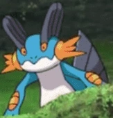 Swampert | International Pokédex Wiki | Fandom