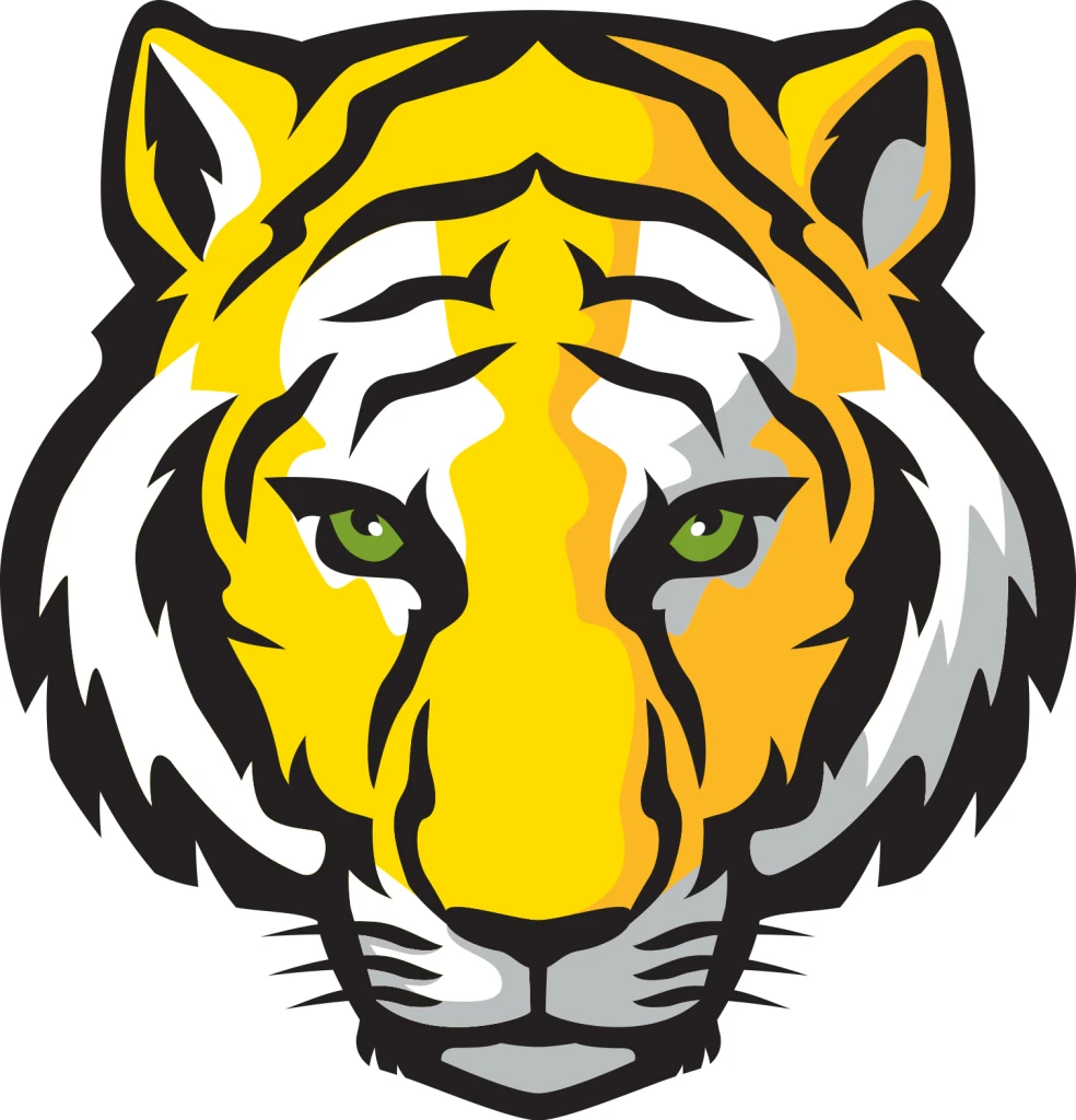 Toronto Tigers | International Simulated Football League Wiki | Fandom