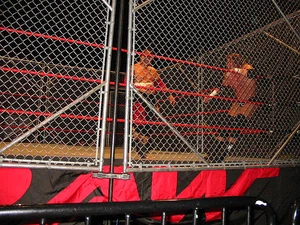 Steel Cage Match | International Wrestling Entertainment Wiki | Fandom