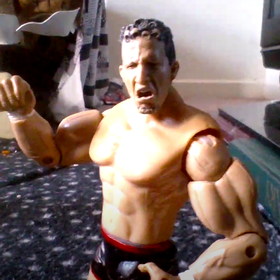 Shane Helms International Wrestling Promotion Wiki Fandom