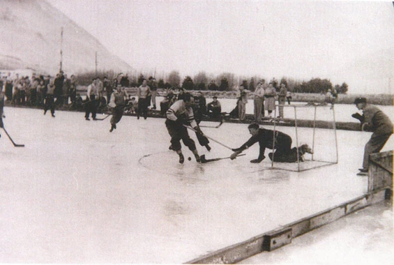 Erewhon Cup | International Hockey Wiki | Fandom